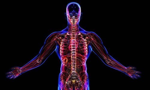 The Spirit, the Soul, and the Body – Rapture and End Times