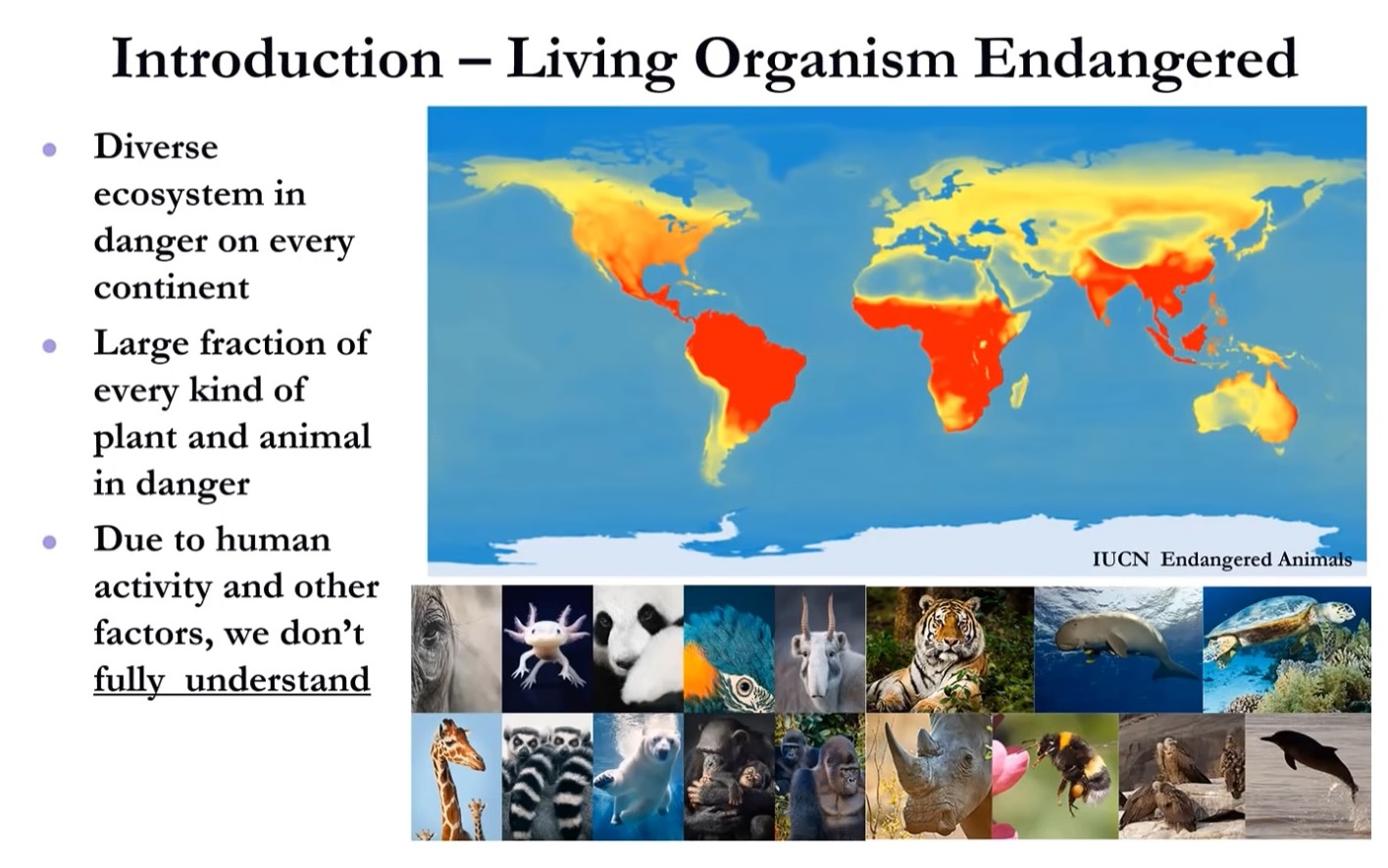 Noah’s Space Ark – Rapture and End Times